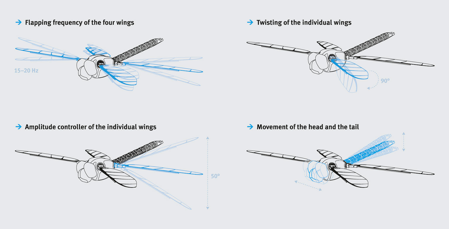 BionicOpter, Festo Germany – SkySpirit