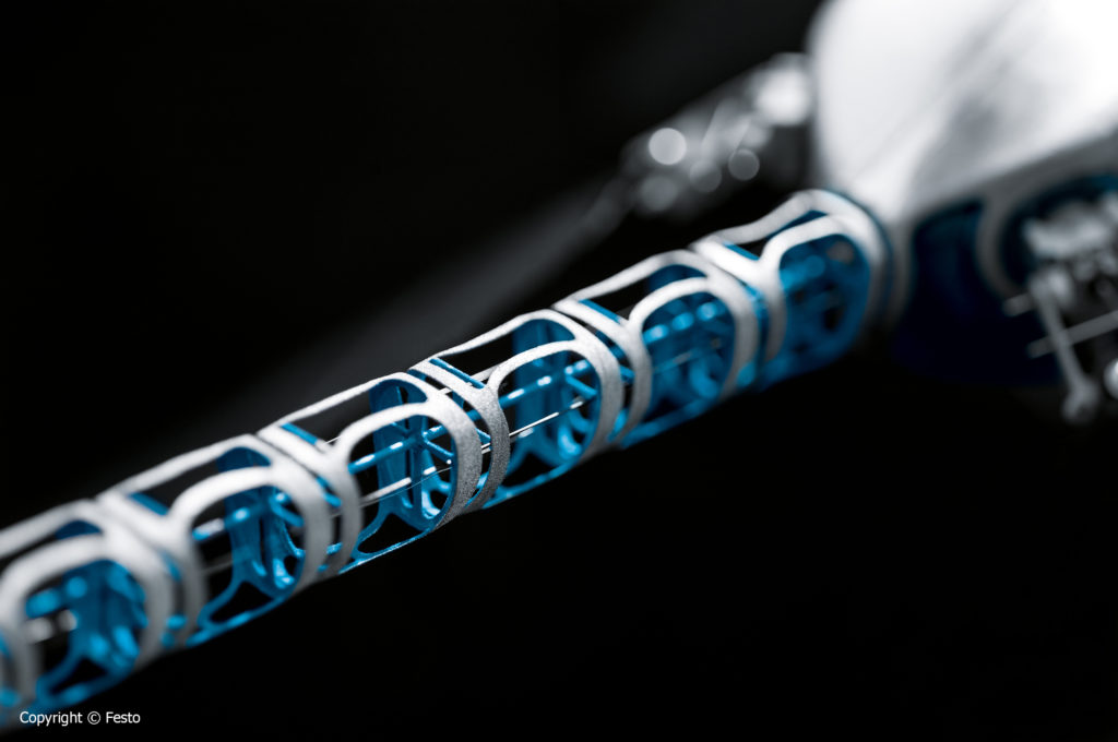 BionicOpter, Festo Germany – SkySpirit