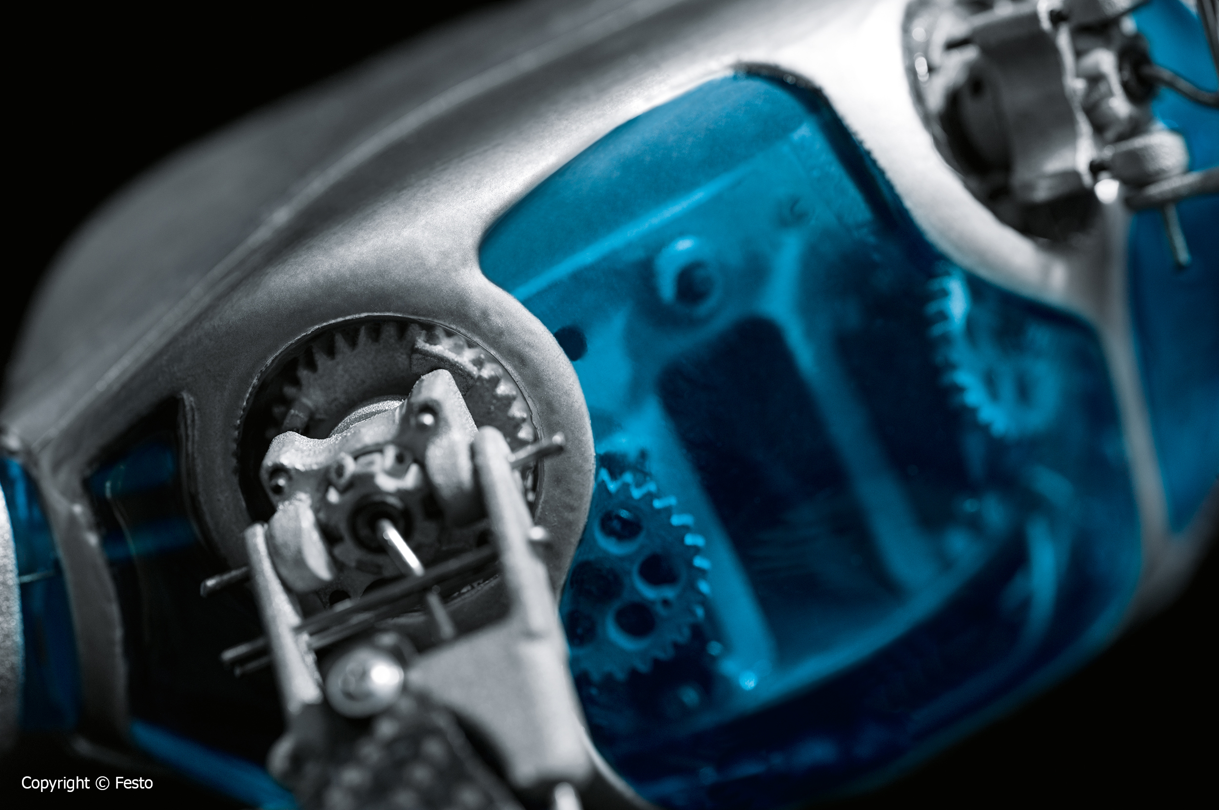 BionicOpter, Festo Germany – SkySpirit