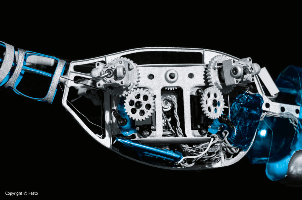 BionicOpter, Festo Germany – SkySpirit