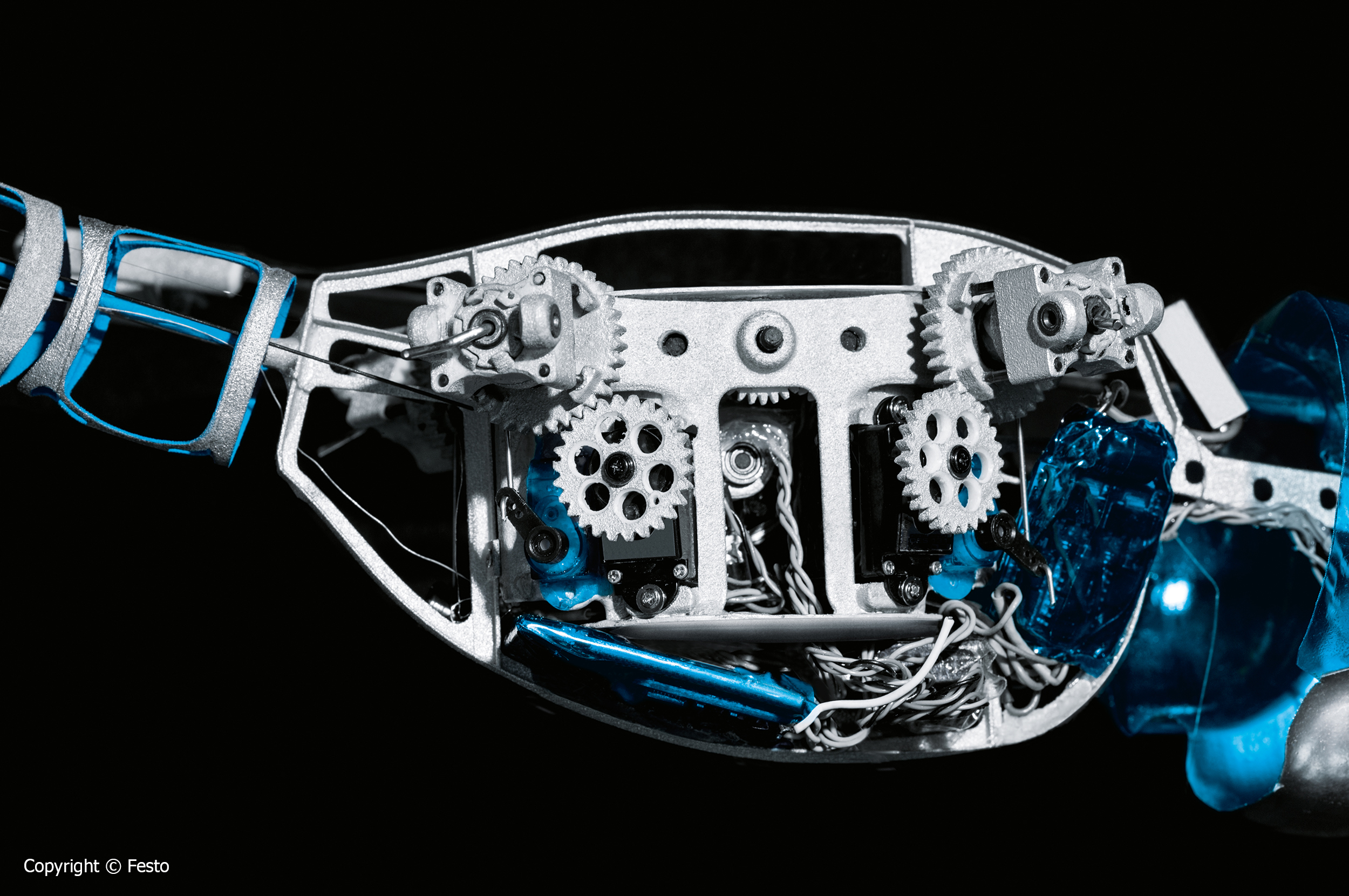 BionicOpter, Festo Germany – SkySpirit