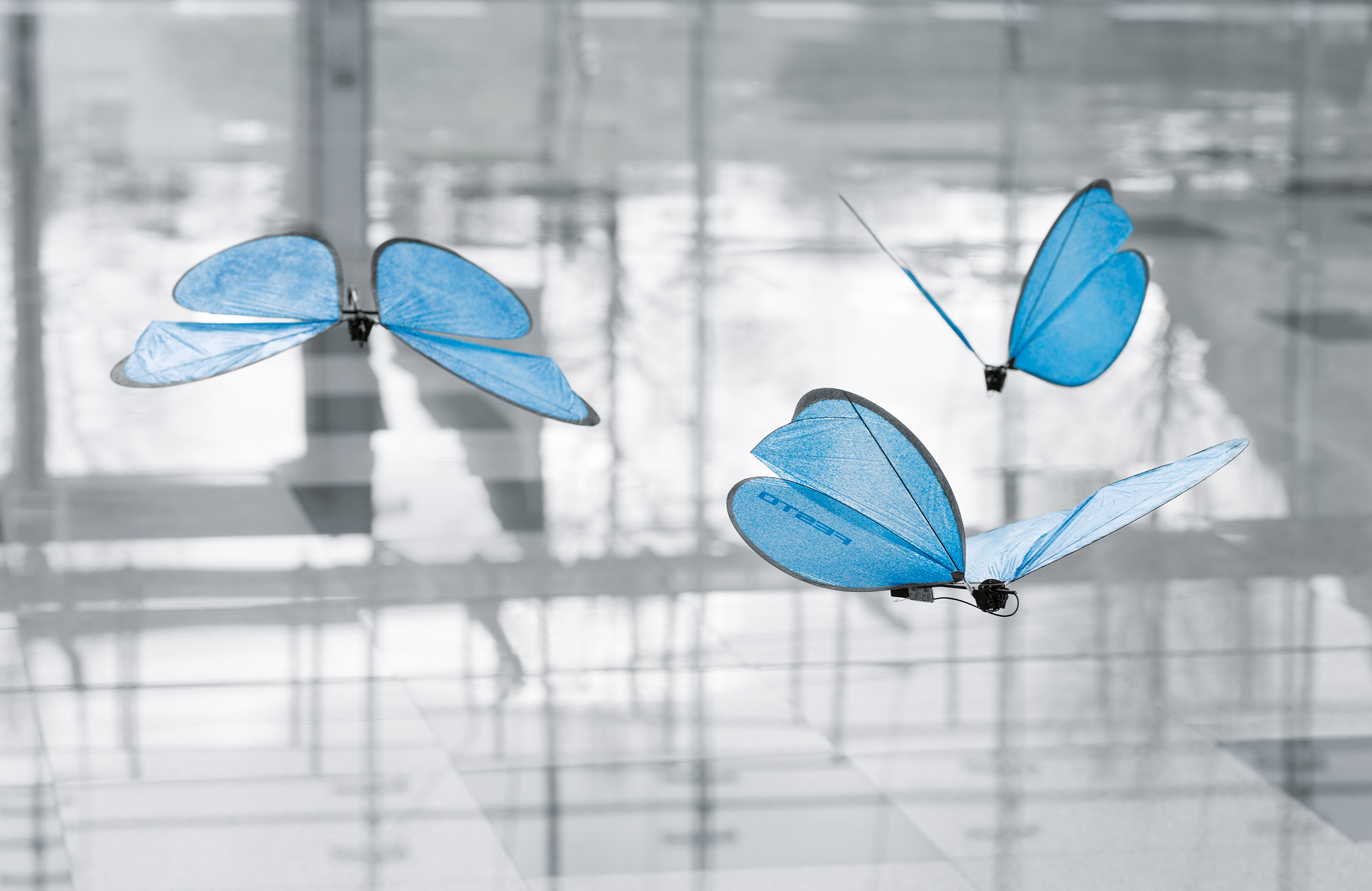 EmotionButterfly_flying_Butterfly_Electronic_drone_Festo_SkySpirit ...