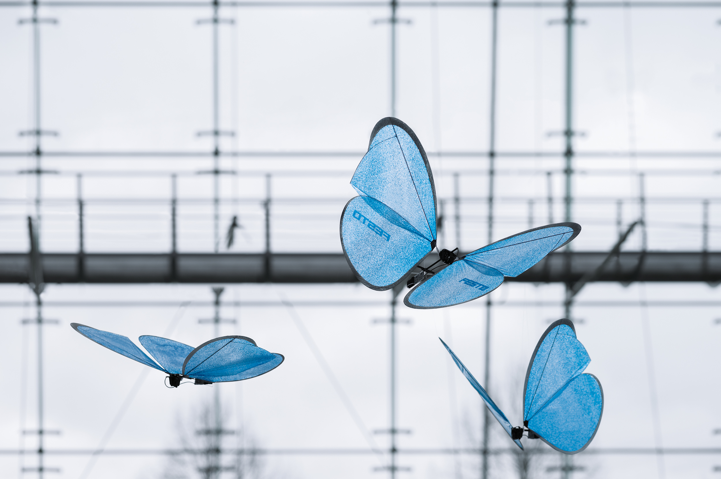 EmotionButterfly_flying_Butterfly_Electronic_drone_Festo_SkySpirit ...