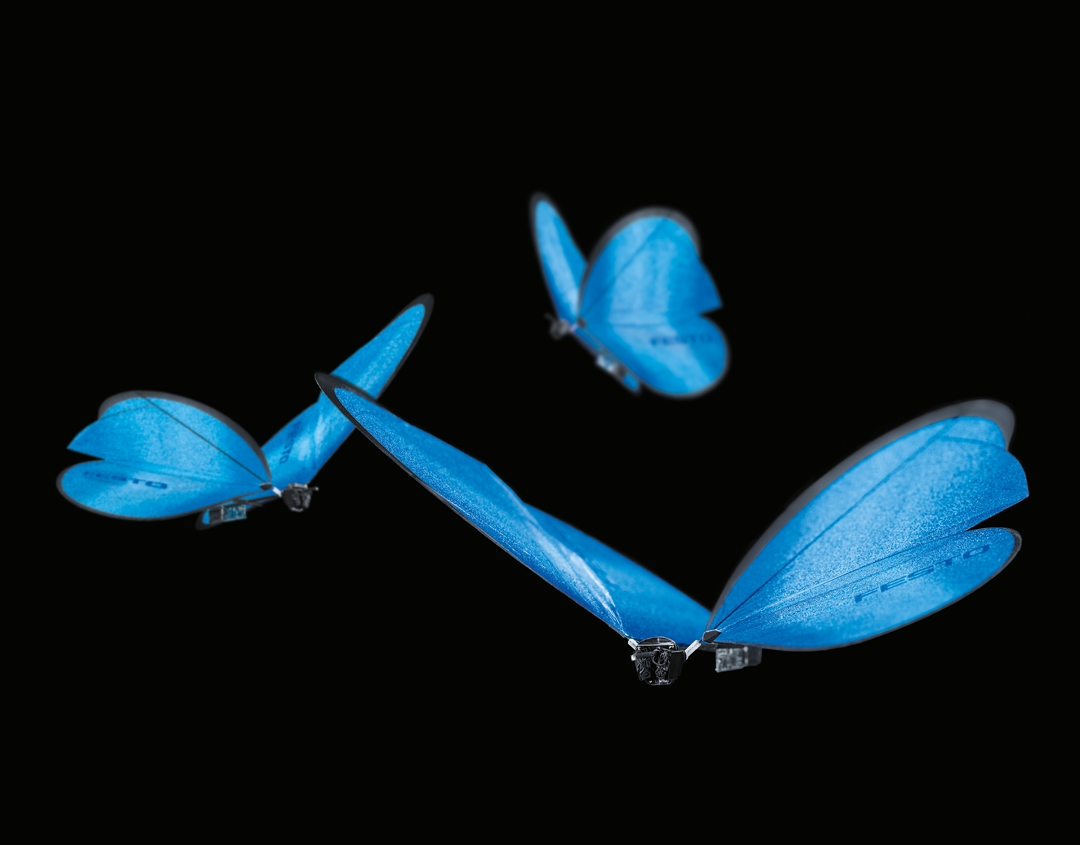 EmotionButterfly_flying_Butterfly_Electronic_drone_Festo_SkySpirit ...