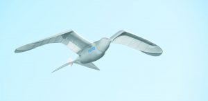SmartBird, Festo Germany – SkySpirit